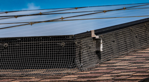 Critter Guard Promo – Solar Maintenance Pros